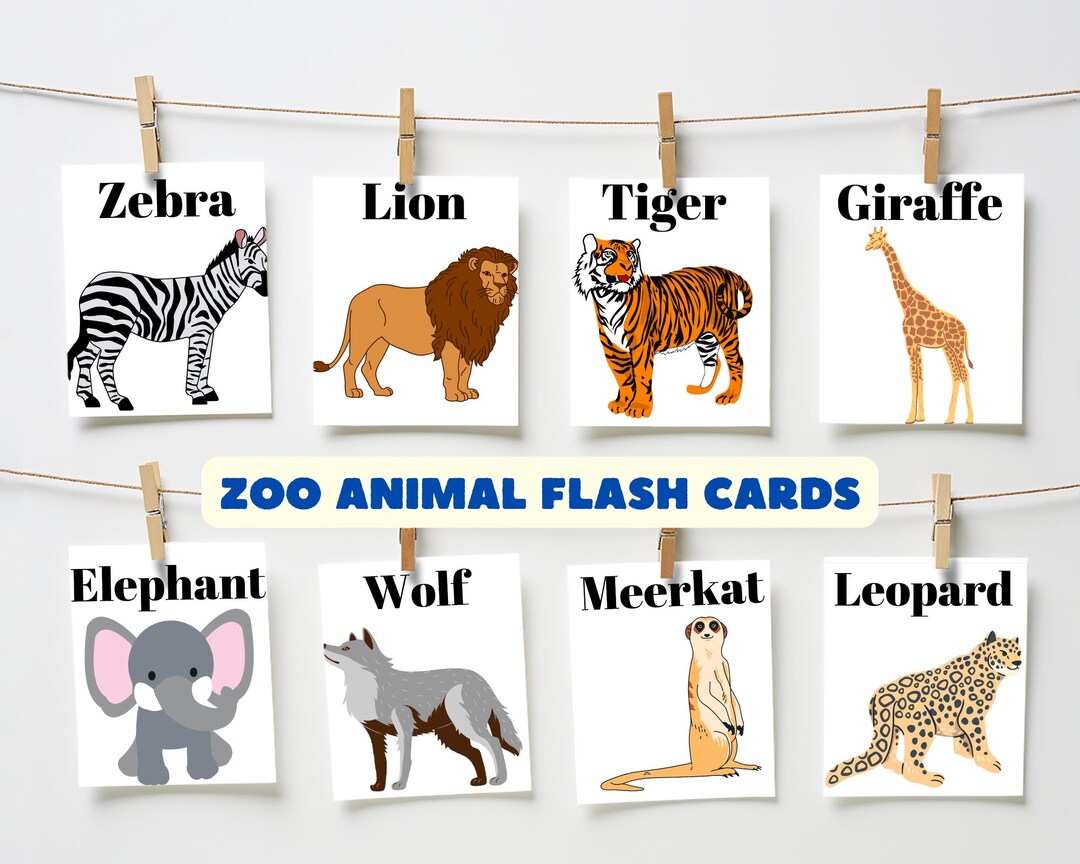 Zoo Animal Flashcards, Toddler Learning Downloadable, Printable Teacher ...