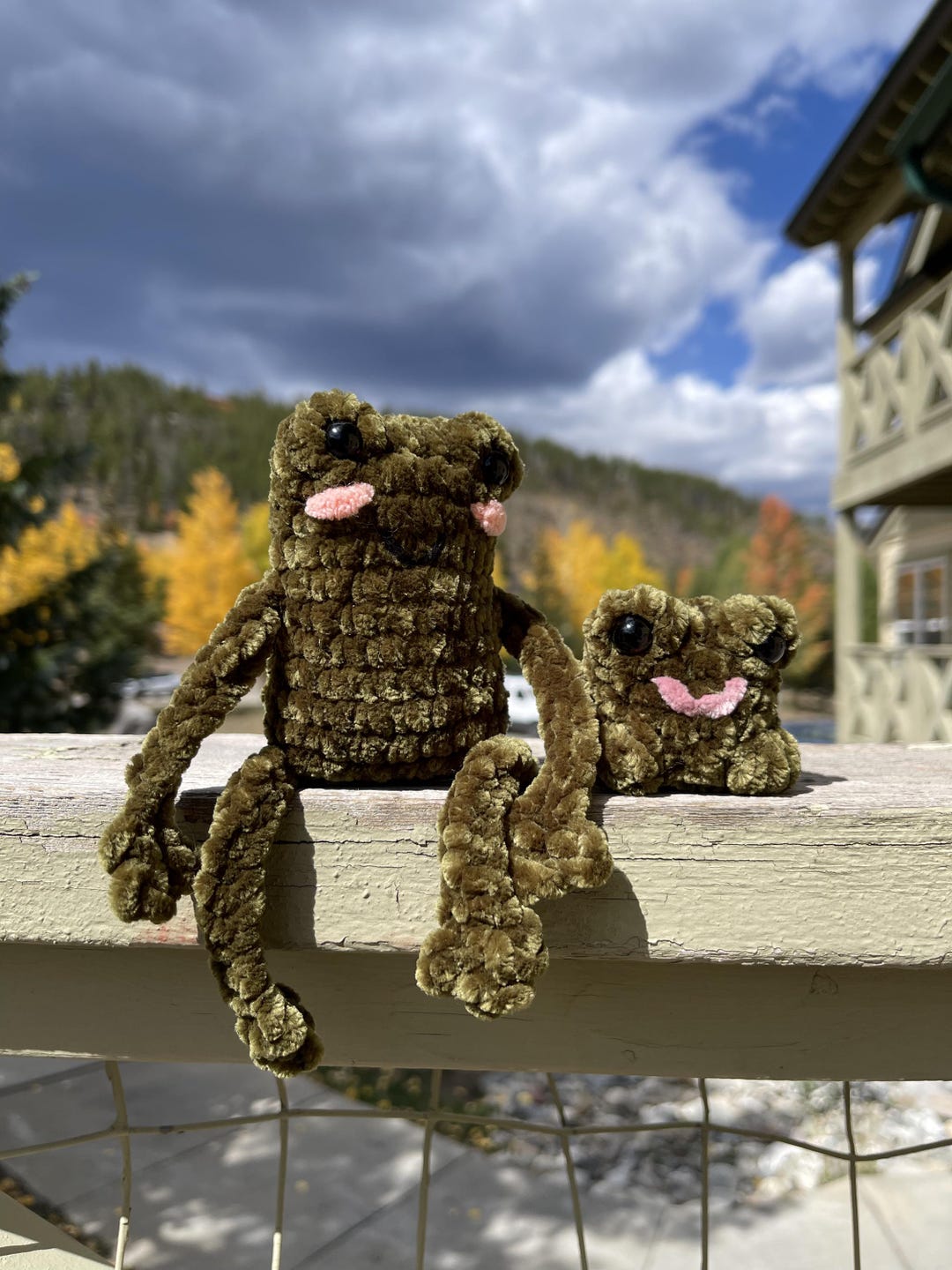Green Frog & Toad Pocket Plushies / Crochet Pocket Pal / Adventure ...