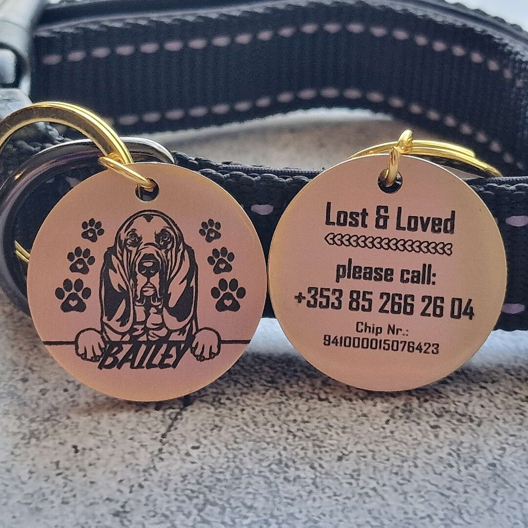 Customized Brass DOG ID Tag | Solid Brass Pet ID Tag | Dog Owners Must ...