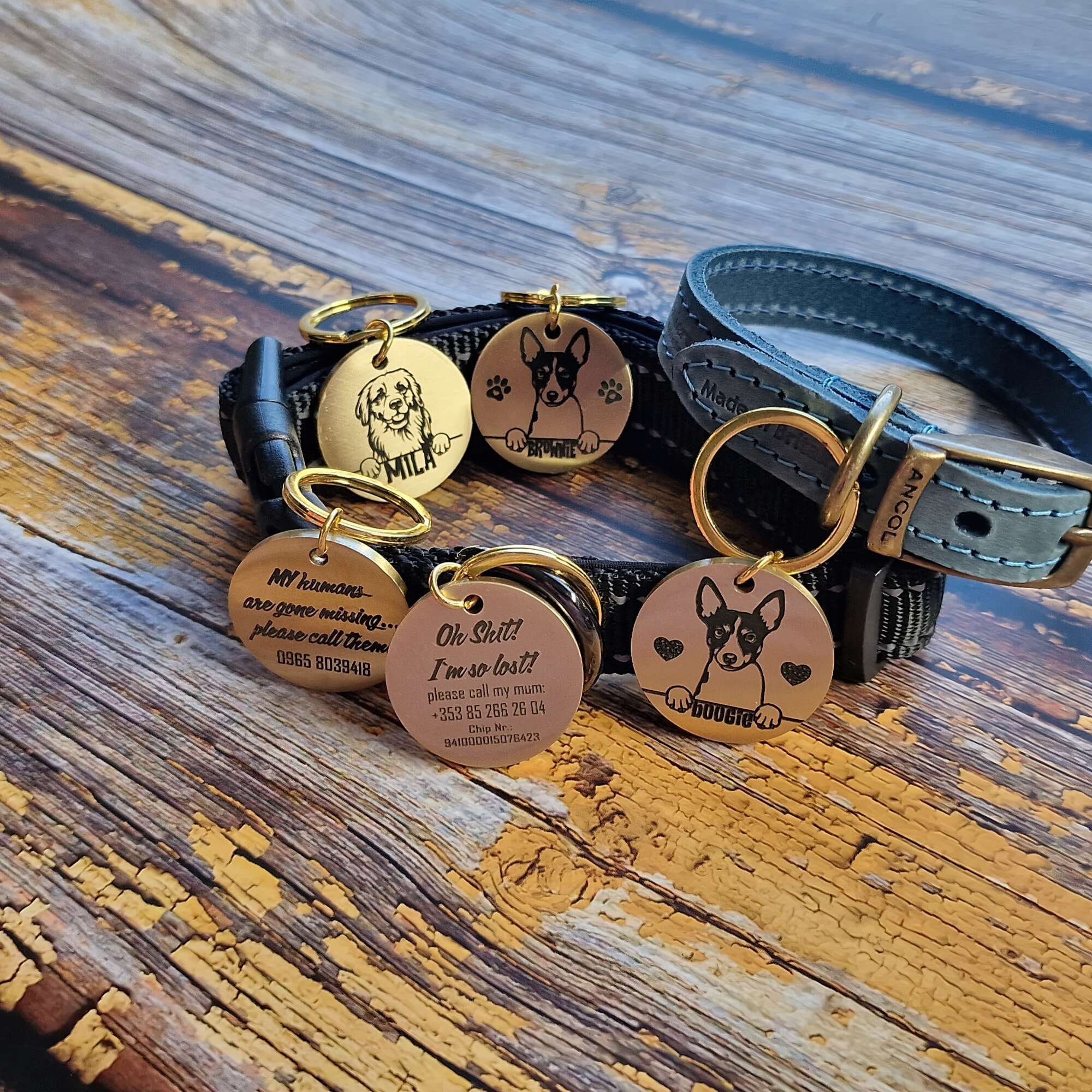 Custom Brass Dog ID Tag: Deep Engraved Pet Tag - Etsy
