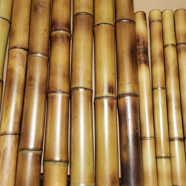 Bamboo Poles - Etsy