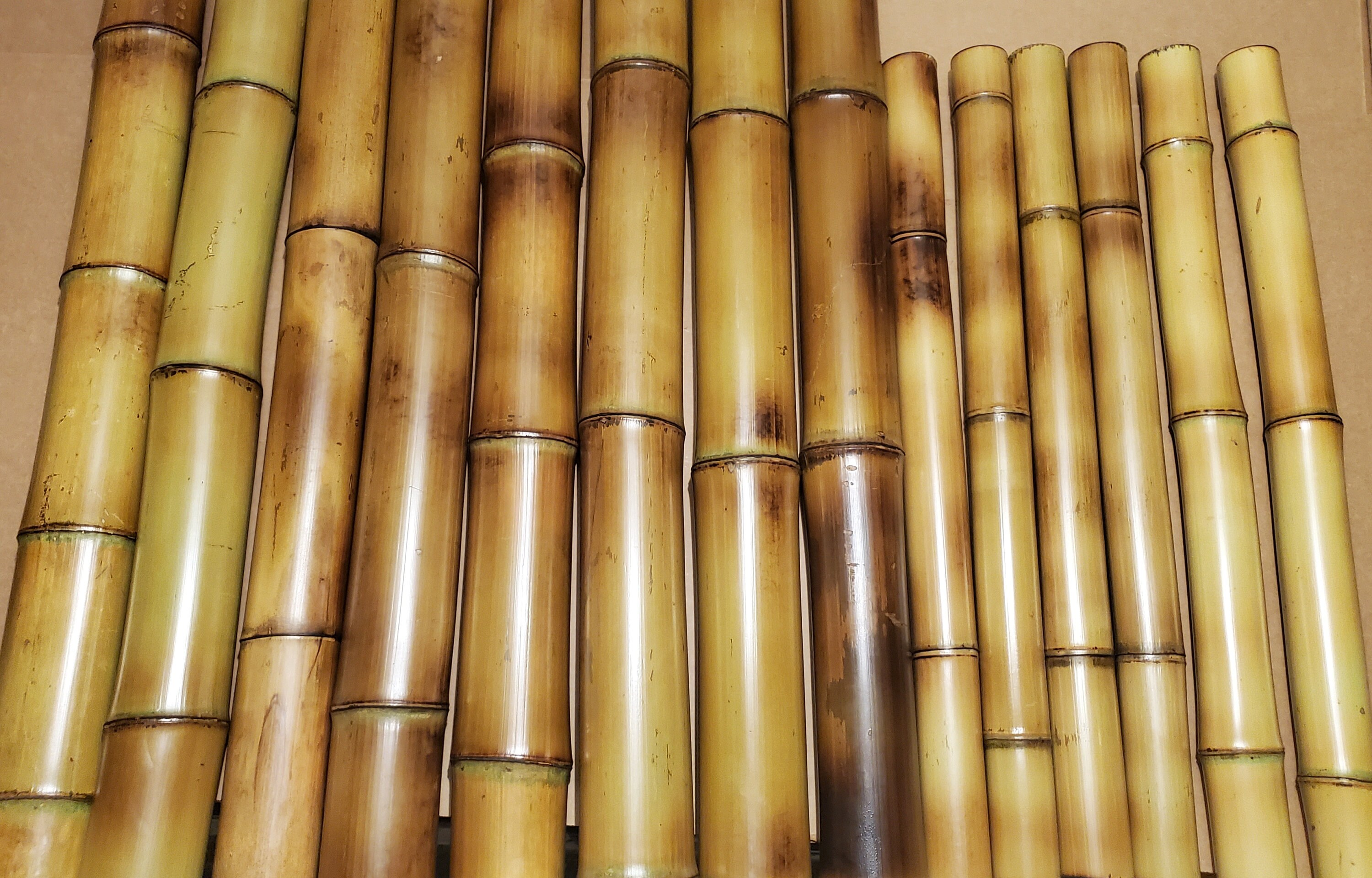 Flamed Bamboo - Etsy Australia