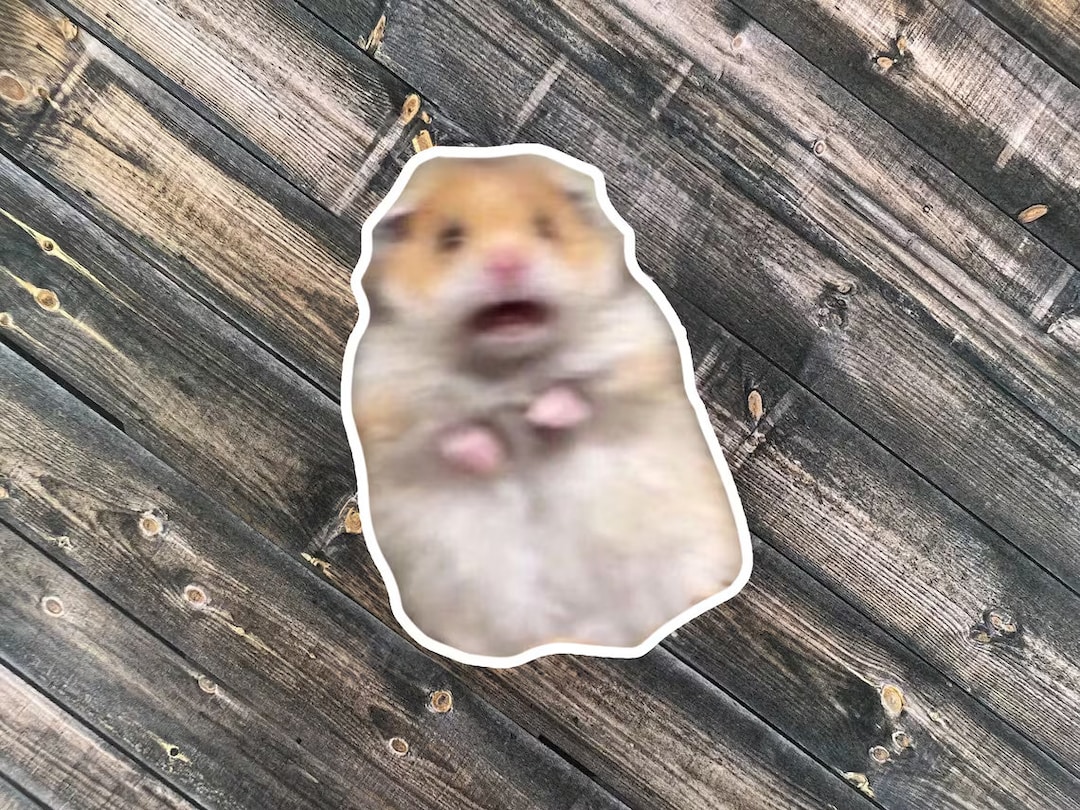 Funny Scared Hamster Meme Sticker, Meme Sticker, Funny Sticker, Hamster ...