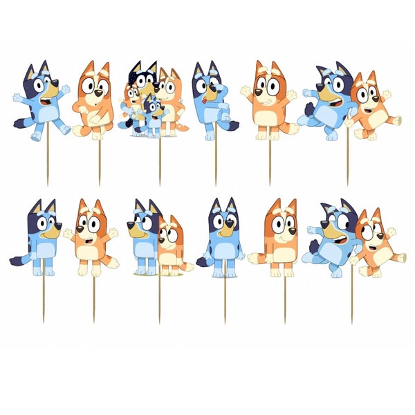 Bluey Theme Cake Topper - Etsy