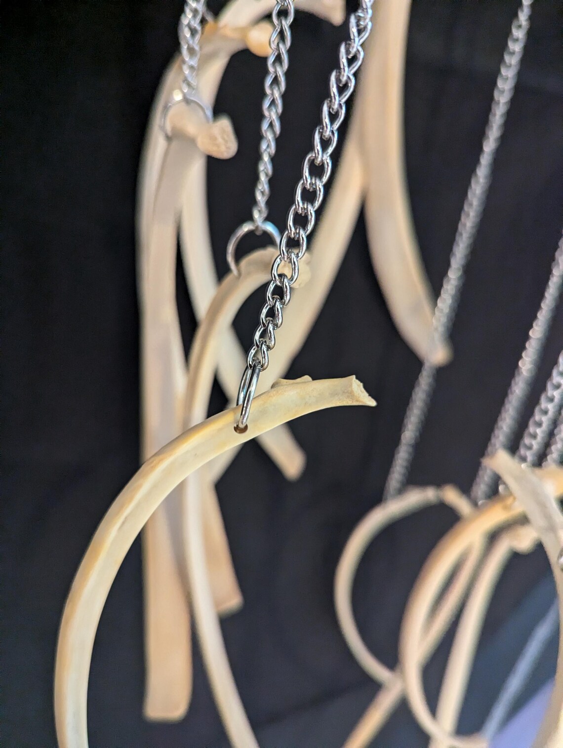 Rib Bone Chime - Etsy