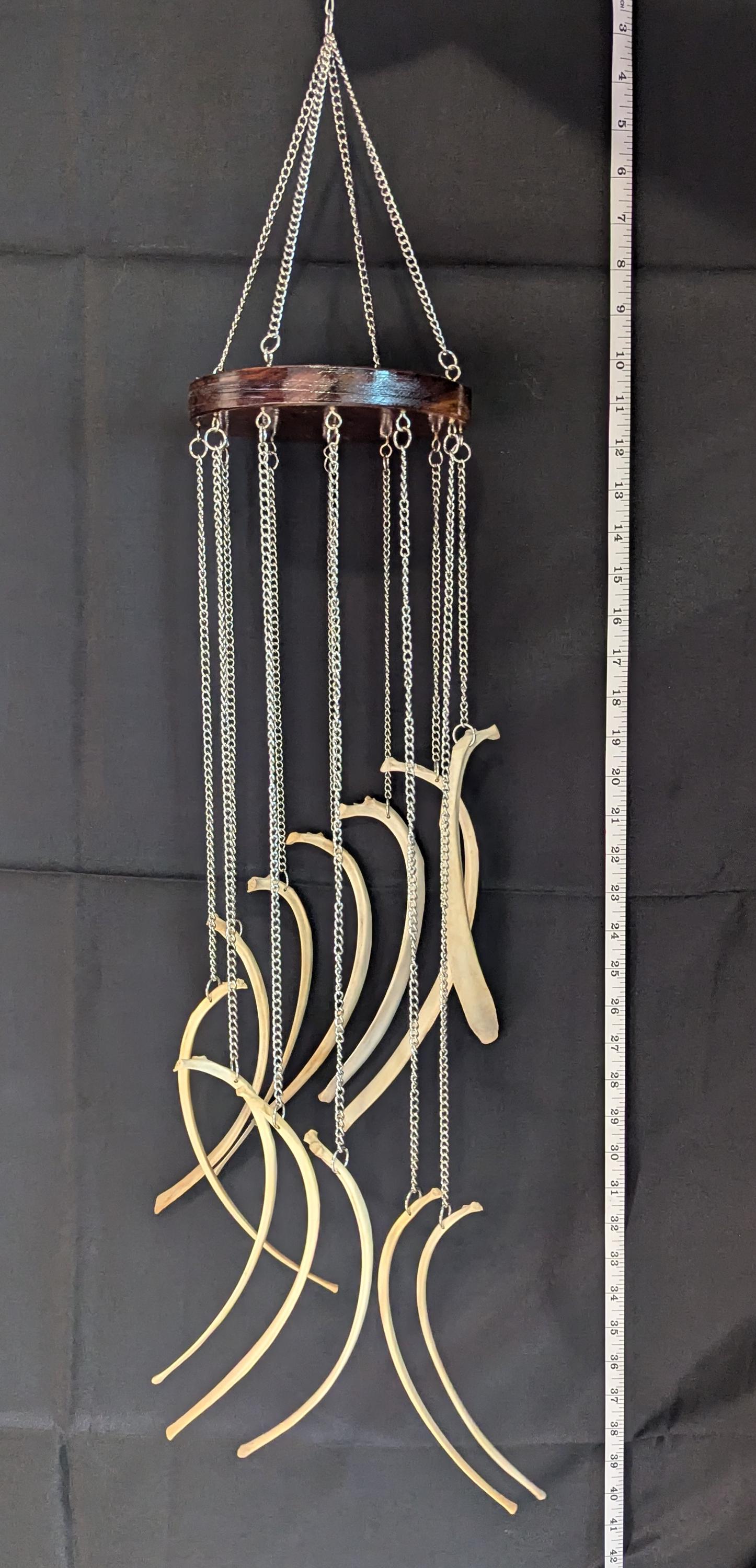 Rib Bone Chime - Etsy