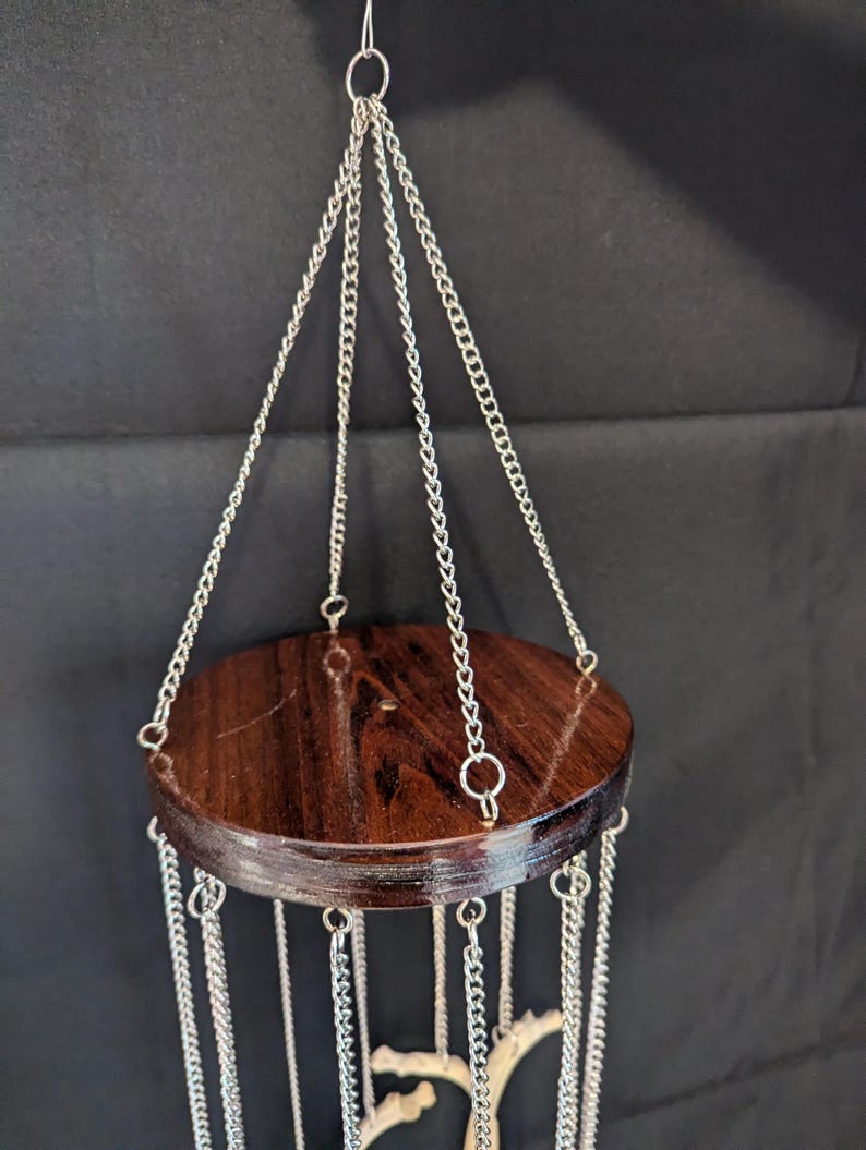 Rib Bone Chime - Etsy