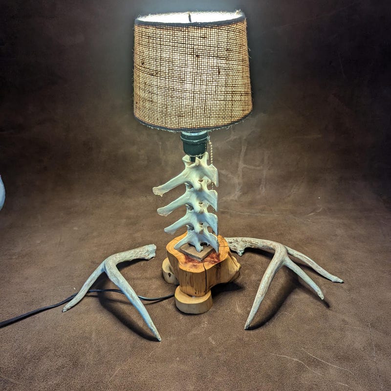 Weird Lamps - Etsy