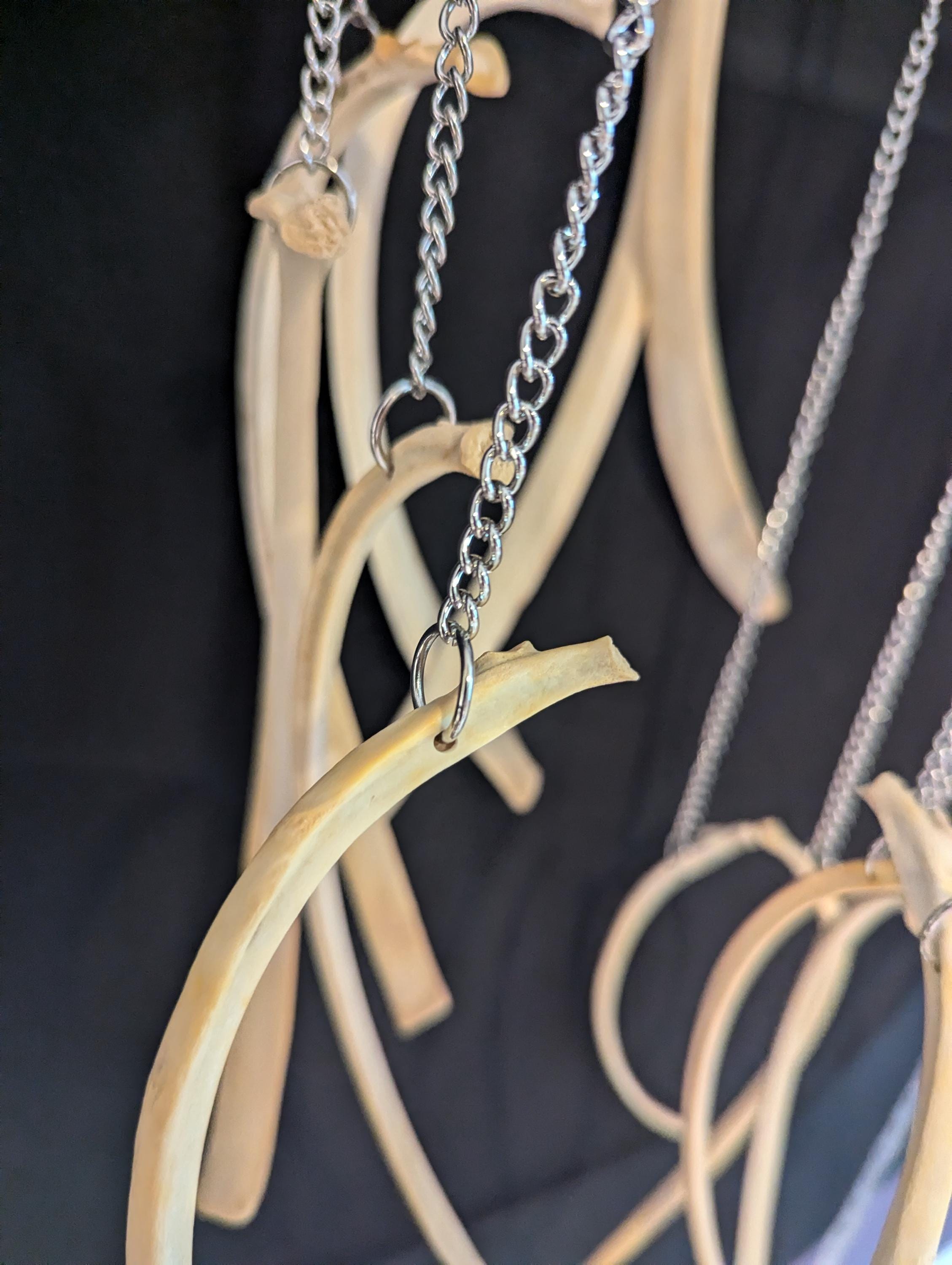 Rib Bone Chime - Etsy