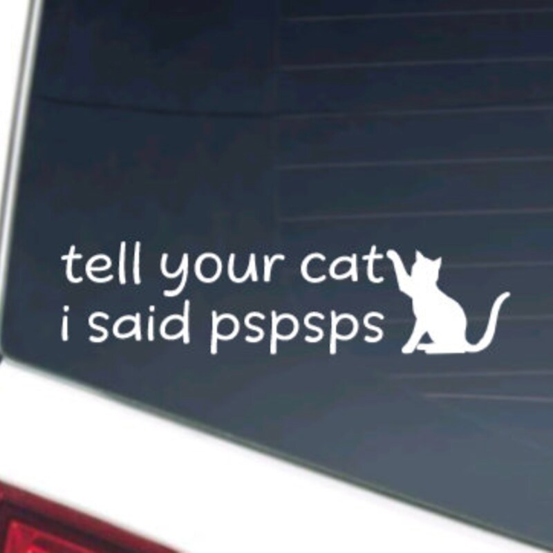 Cat Bumper Sticker - Etsy