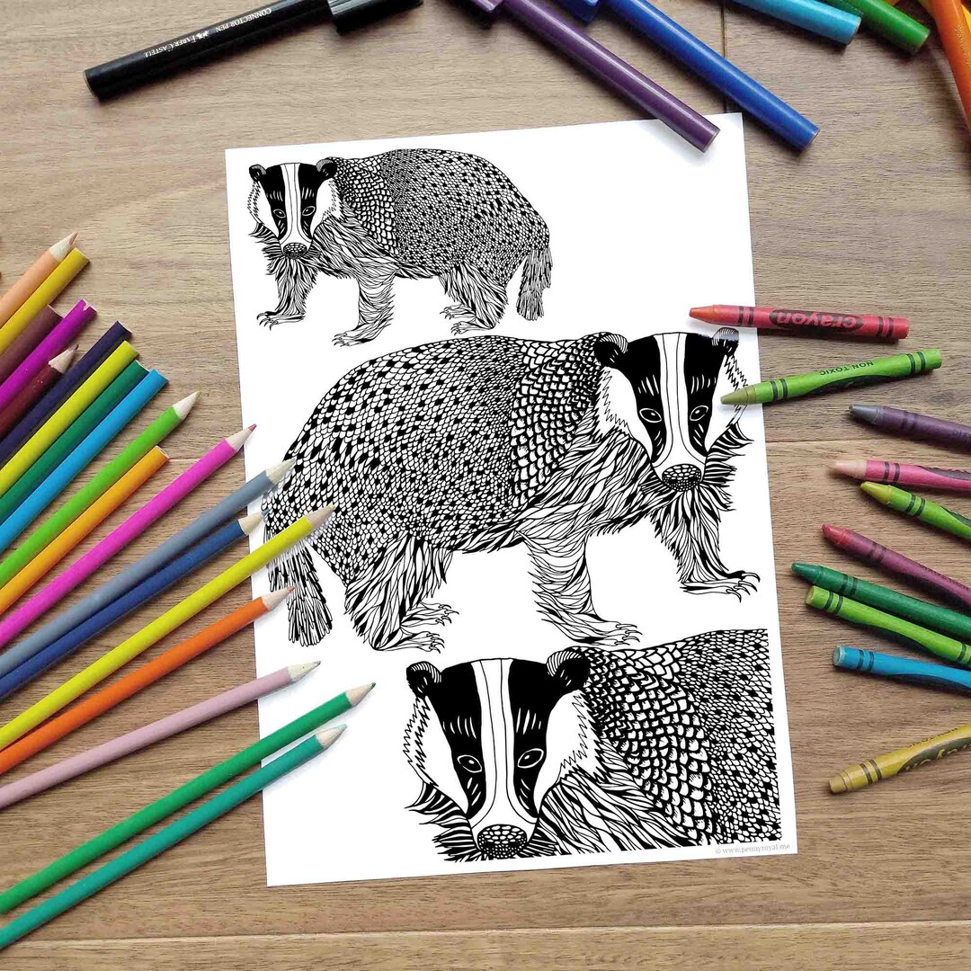 Badgers Coloring Page Digital Download, woodland, animal, furry - Etsy ...