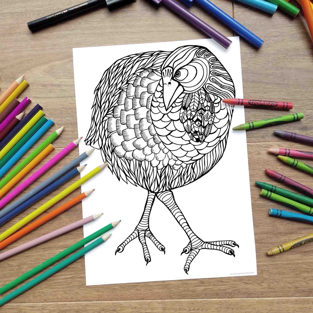 Takahe Coloring Page Digital Download, Bird, Feathers, New Zealand ...