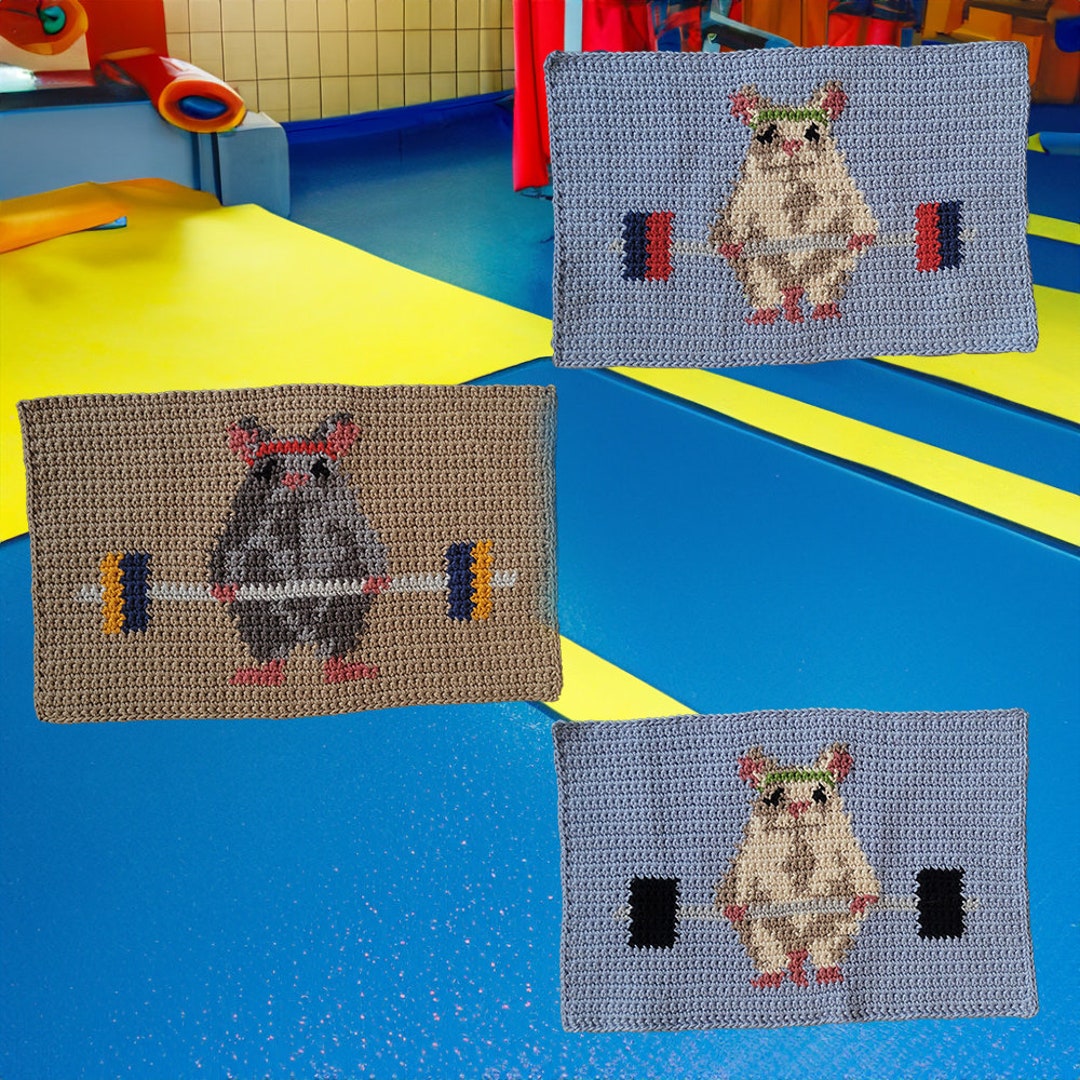 Gym Rat (row) Crochet Tapestry Pattern PDF - Etsy