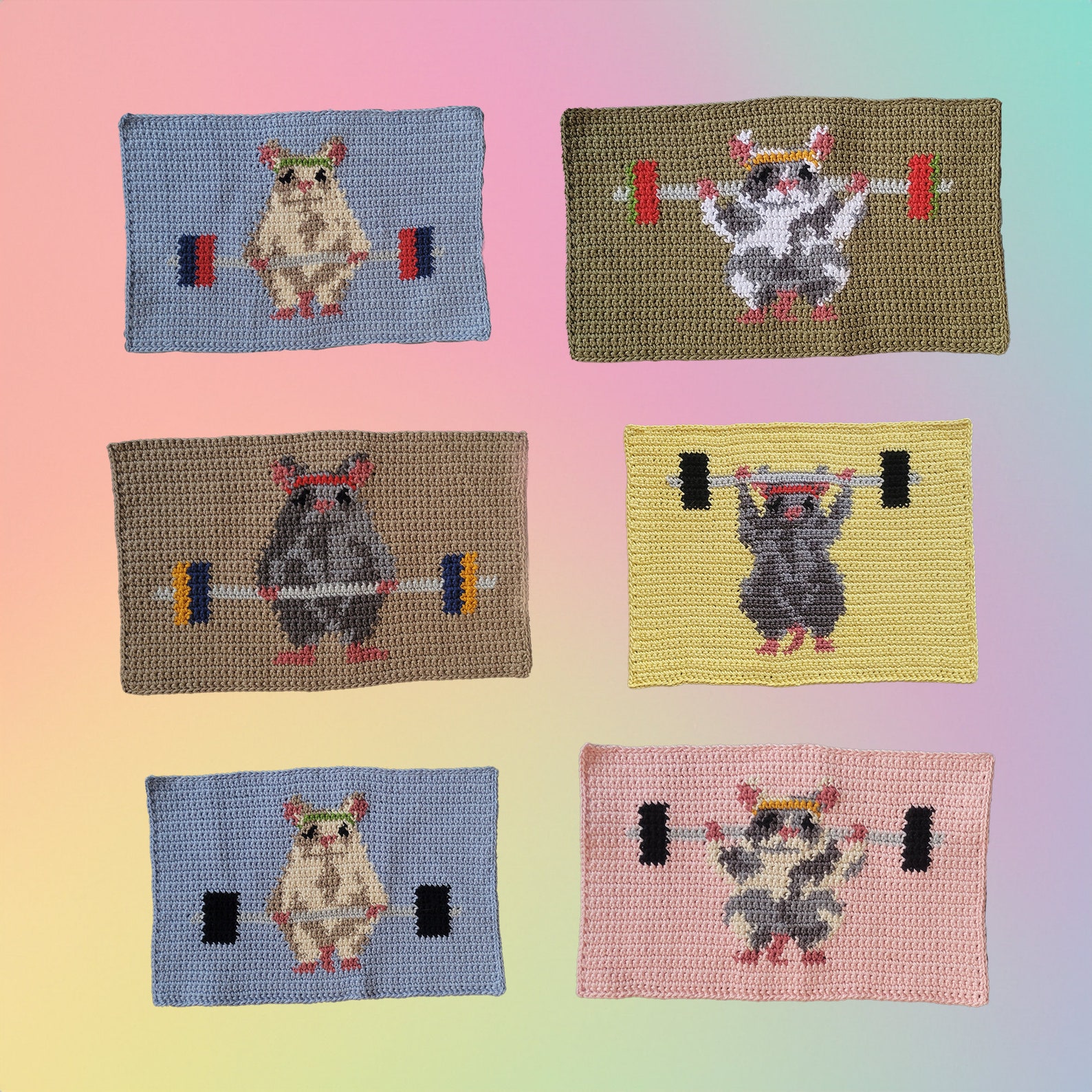 Gym Rat COMBO Crochet Tapestry Pattern PDF - Etsy