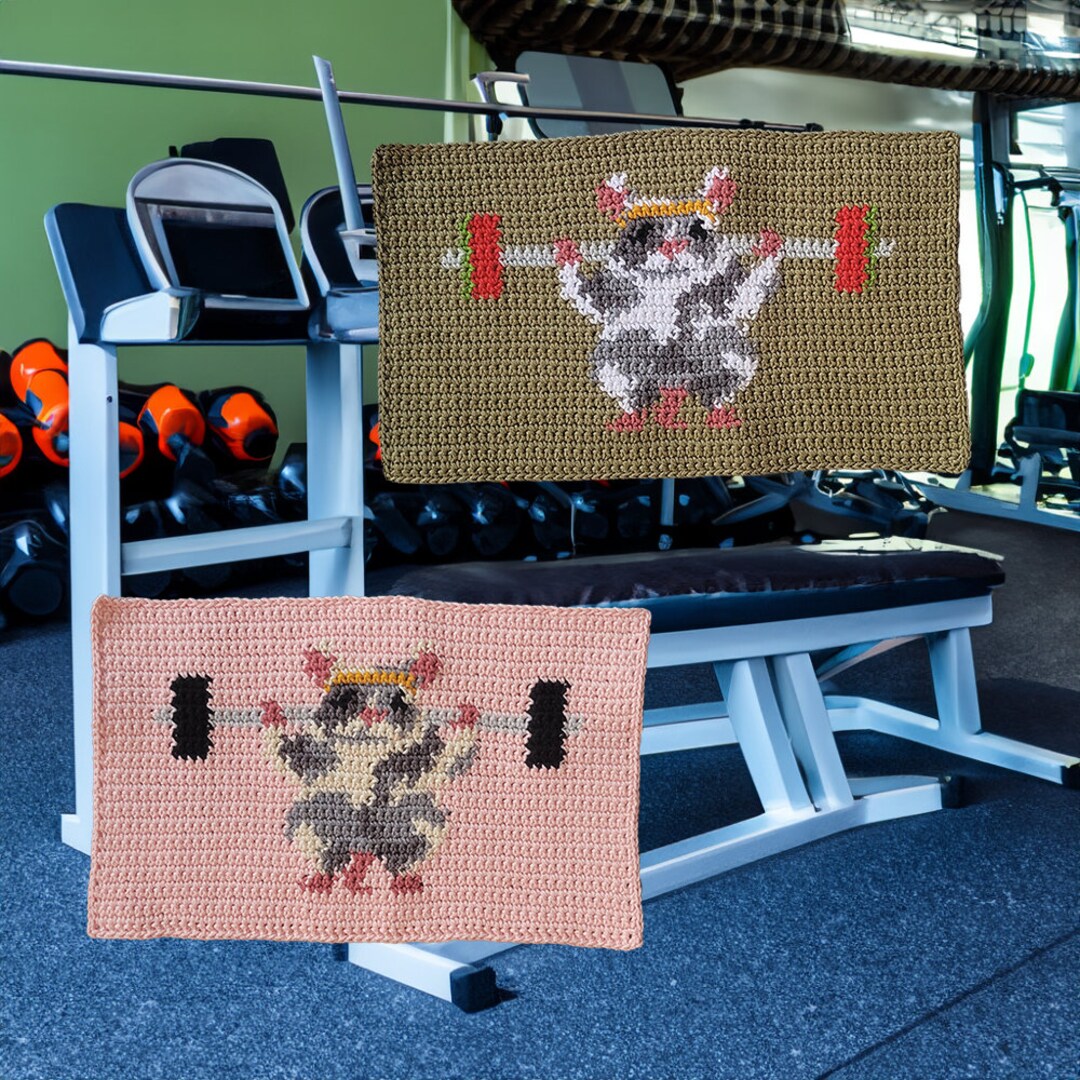 Gym Rat (squat) Crochet Tapestry Pattern PDF - Etsy