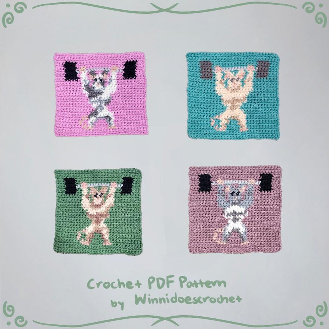 Mini Gym Rats Crochet Tapestry Pattern PDF - Etsy
