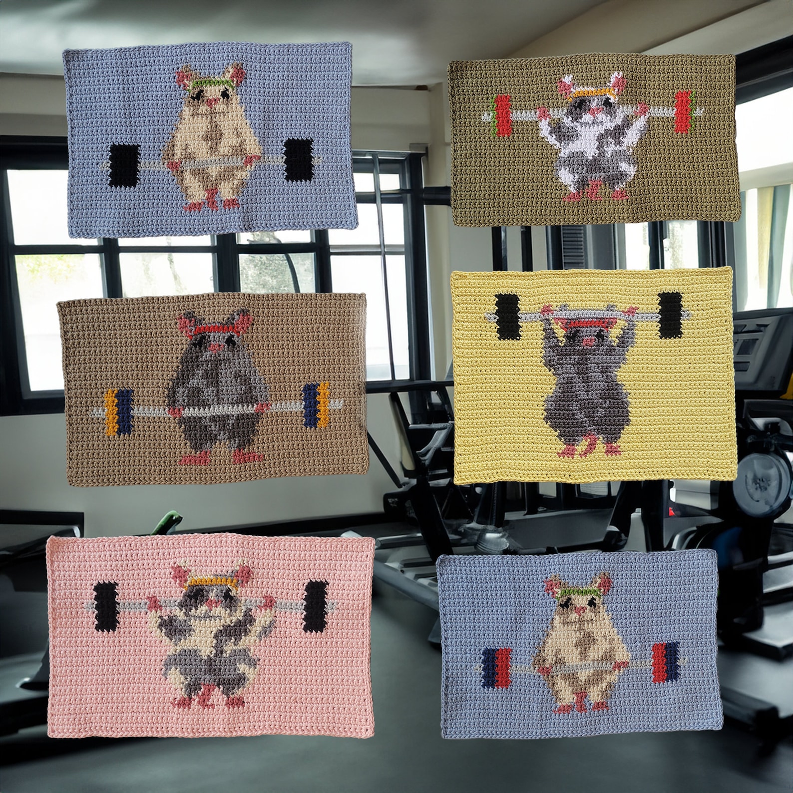Gym Rat COMBO Crochet Tapestry Pattern PDF - Etsy