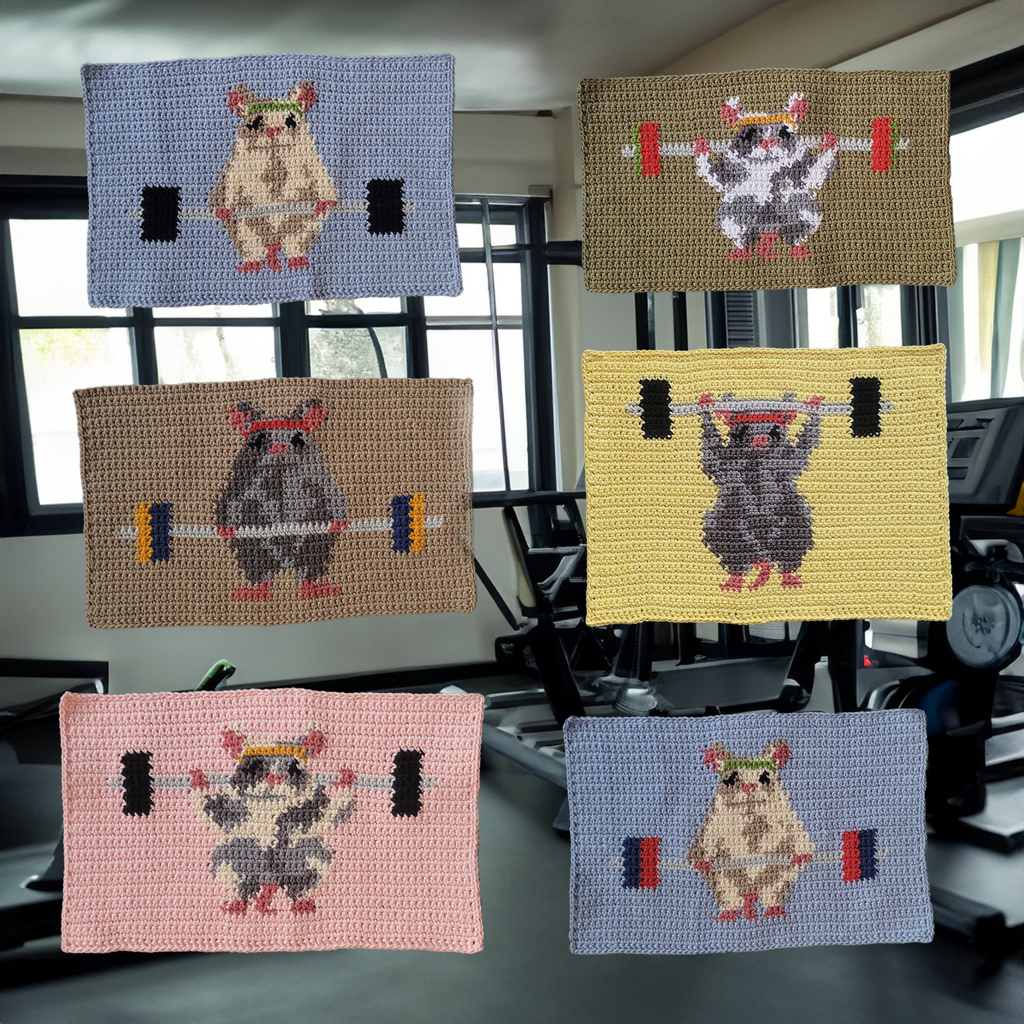 Gym Rat COMBO Crochet Tapestry Pattern PDF - Etsy
