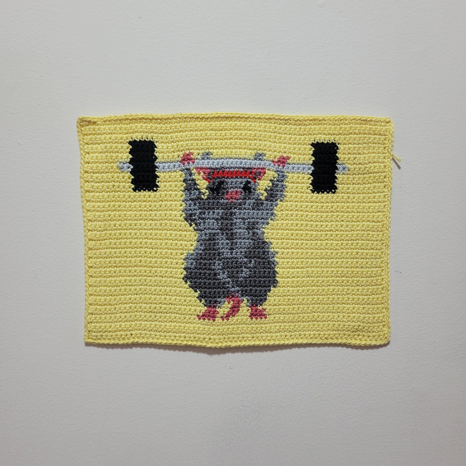 Pressing Gym Rat Crochet Tapestry - Etsy