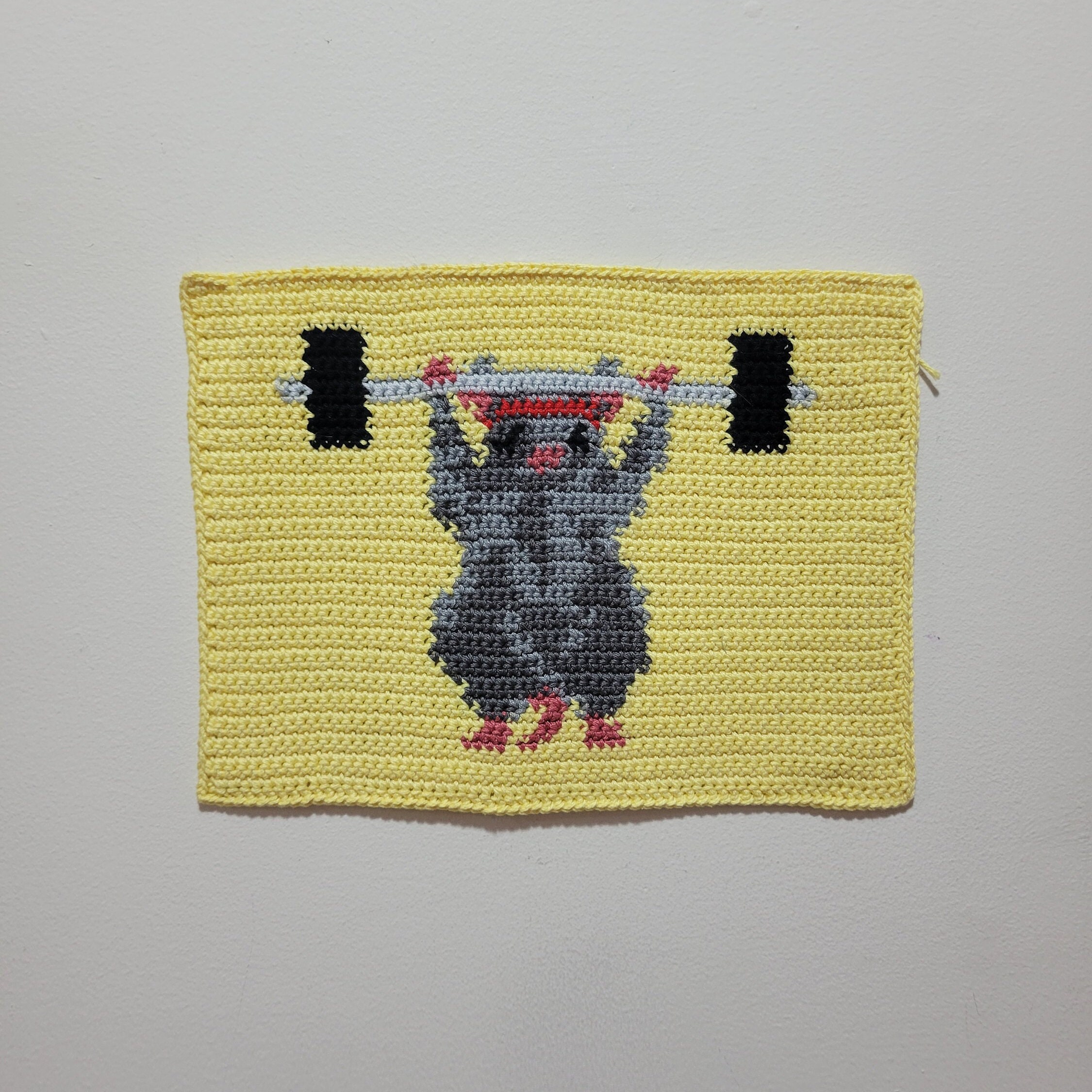 Pressing Gym Rat Crochet Tapestry - Etsy