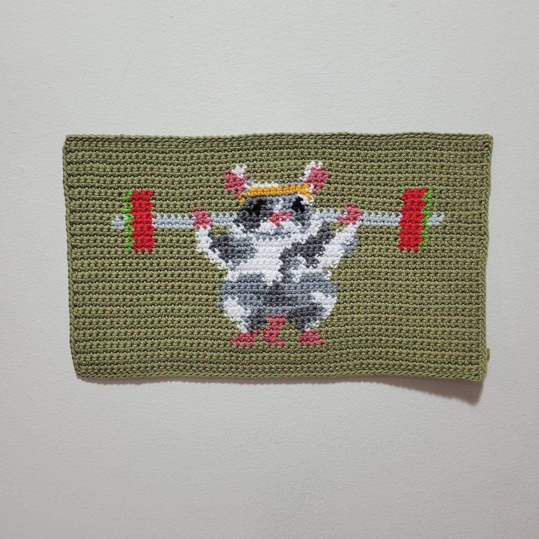 Squating Gym Rat Crochet Tapestry - Etsy