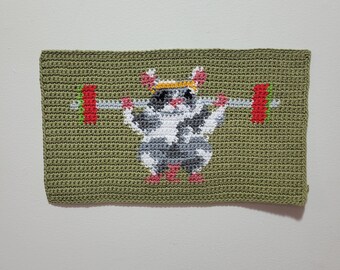 Gym Rat COMBO Crochet Tapestry Pattern PDF - Etsy