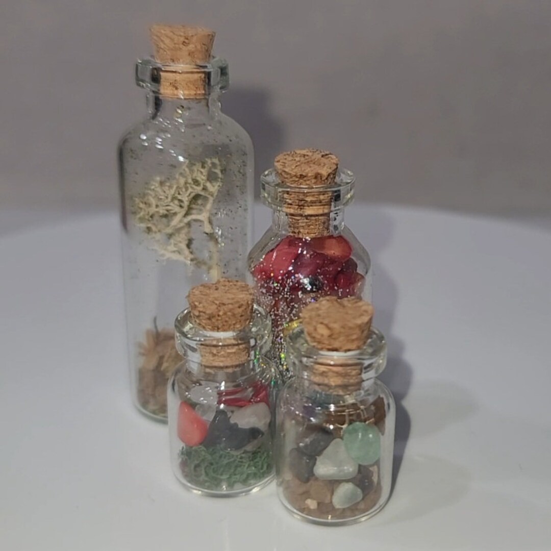 Tiny Terrariums Rainbow Varieties - Etsy