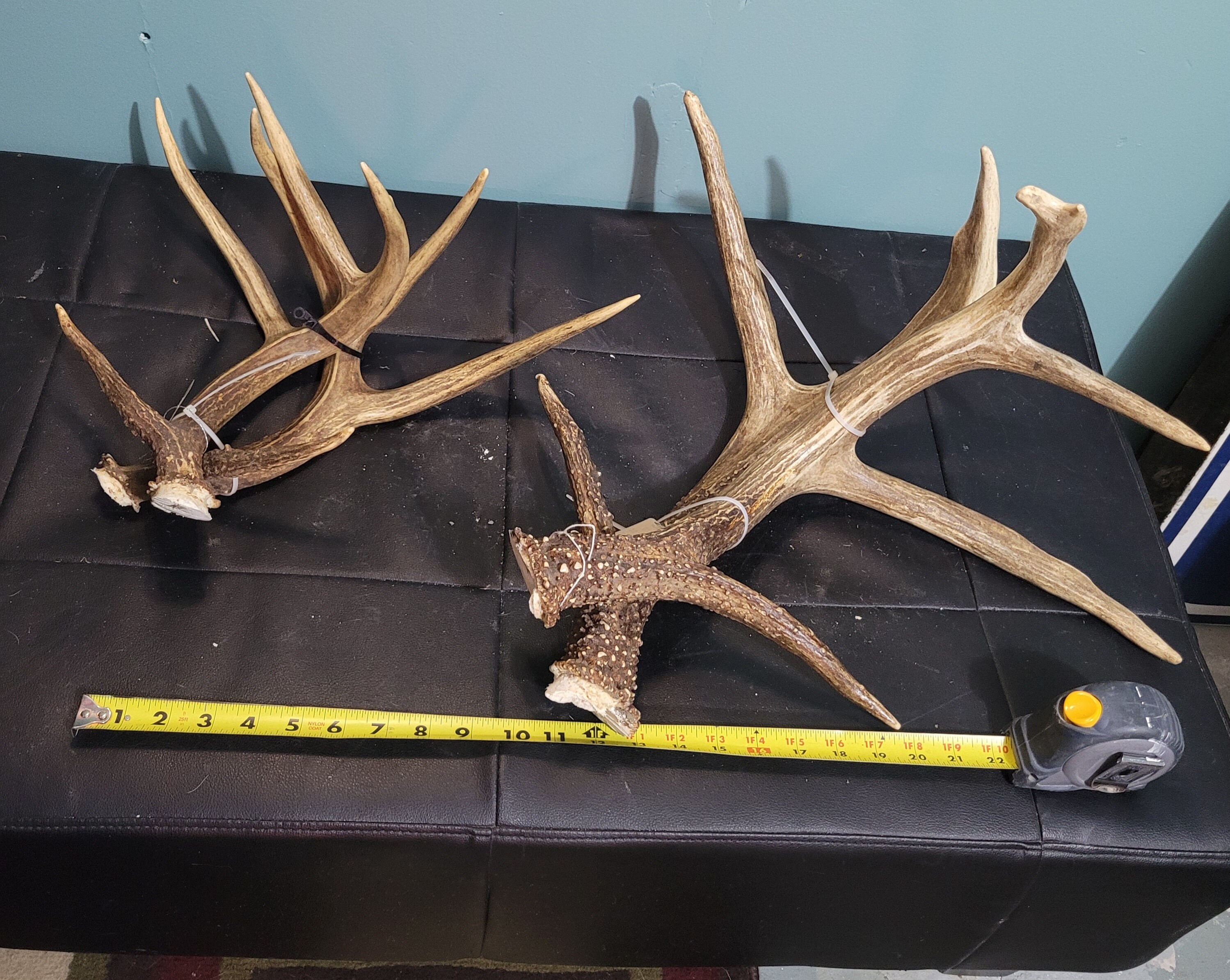 Large 3 Point Antler Set - Etsy