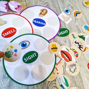 Five Senses, Sorting Activity, Printable Busy Learn, Toddler and ...