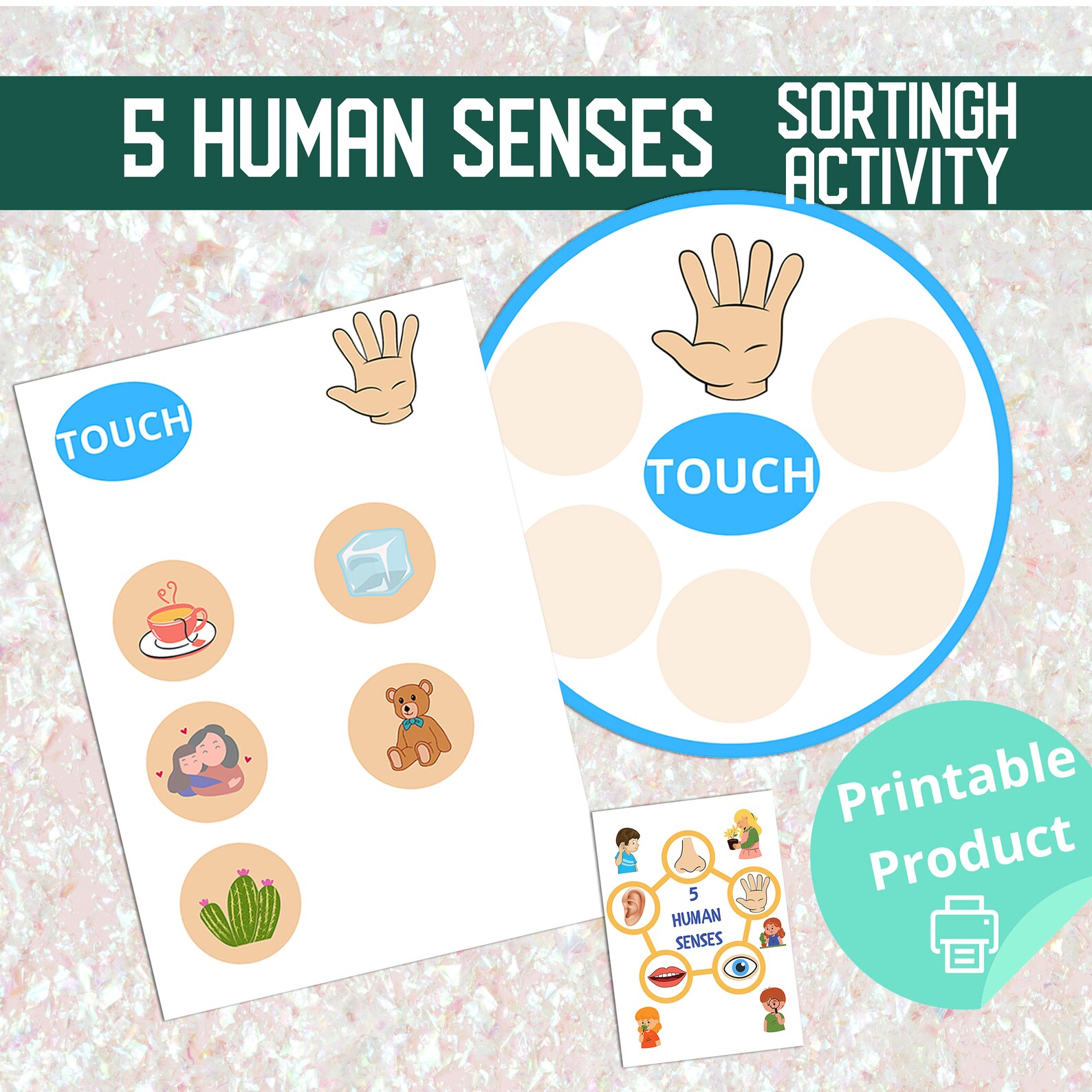 Five Senses, Sorting Activity, Printable Busy Learn, Toddler and ...