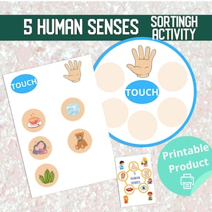 Five Senses, Sorting Activity, Printable Busy Learn, Toddler and ...
