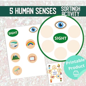 Five Senses, Sorting Activity, Printable Busy Learn, Toddler and ...