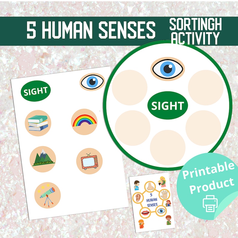 Five Senses, Sorting Activity, Printable Busy Learn, Toddler and ...