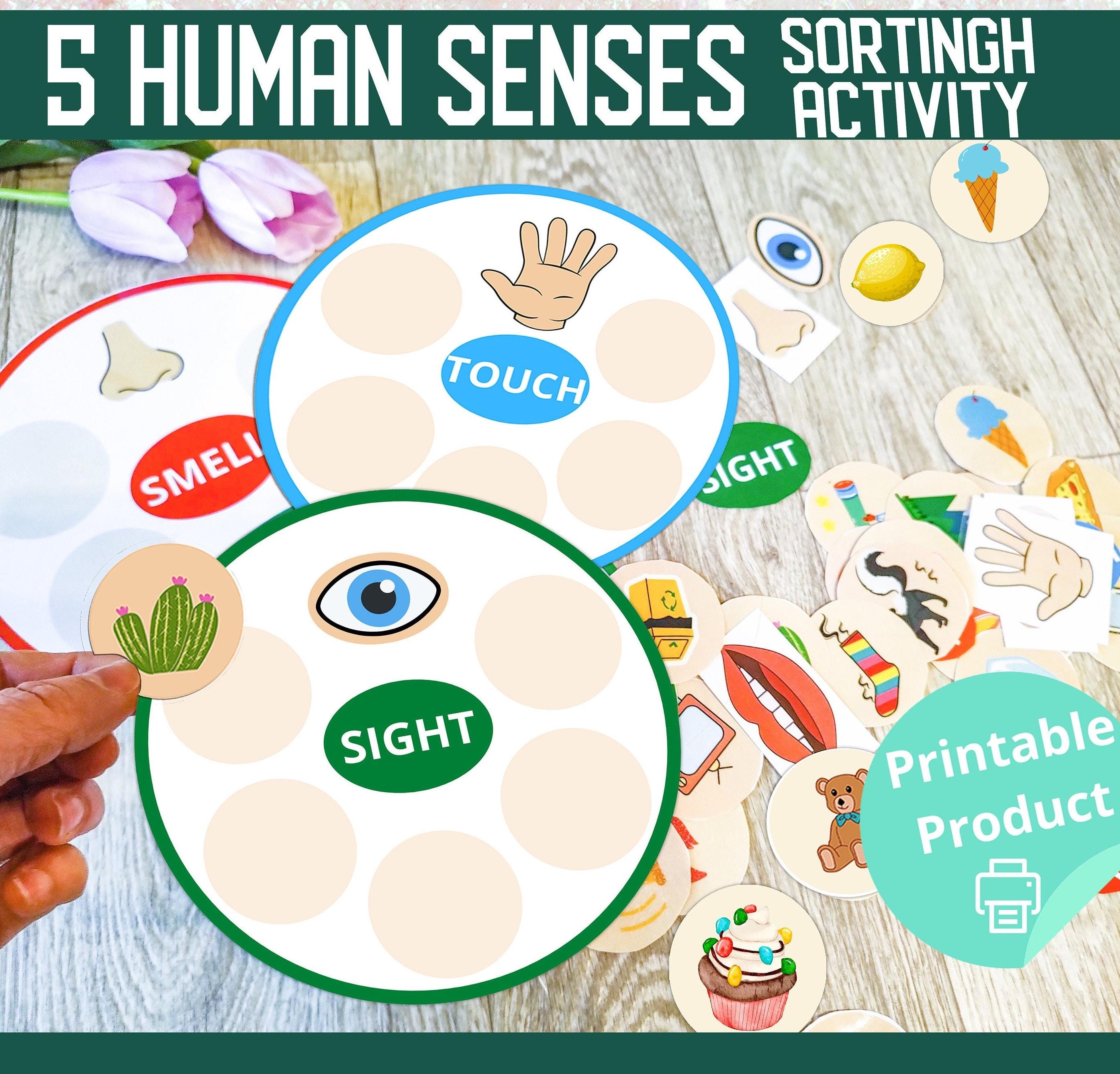 Five Senses, Sorting Activity, Printable Busy Learn, Toddler and ...