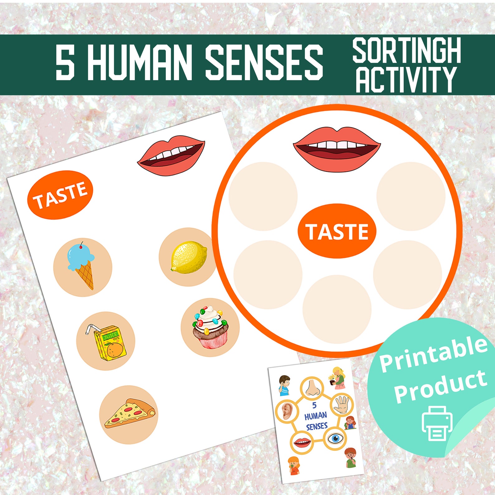 Five Senses, Sorting Activity, Printable Busy Learn, Toddler and ...