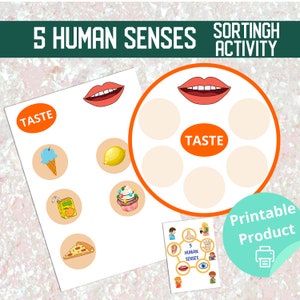 Five Senses, Sorting Activity, Printable Busy Learn, Toddler and ...