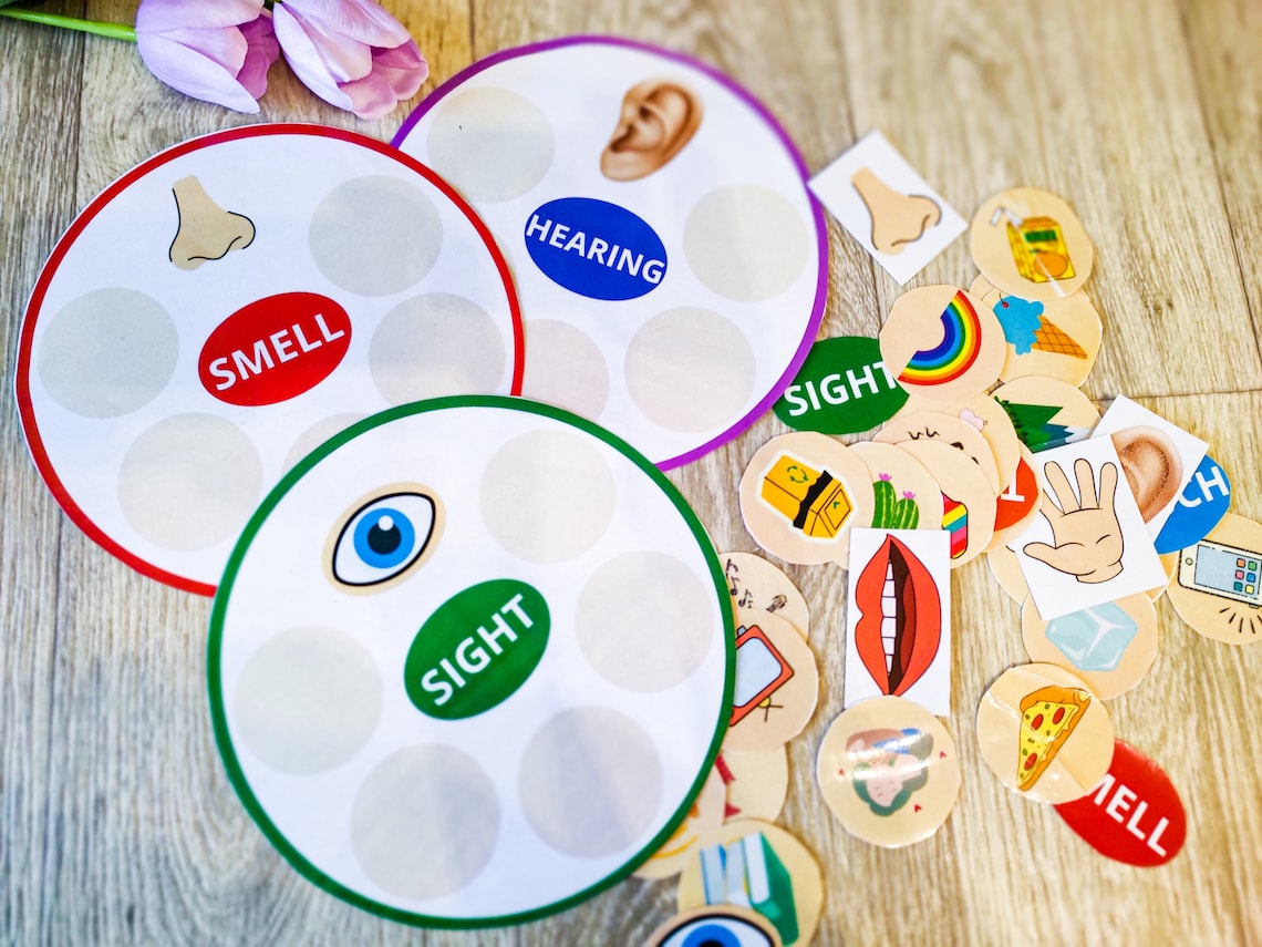 Five Senses Printable, Toddler Busy Learn , Sorting Activity for ...