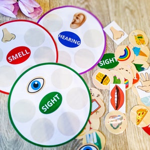 Five Senses, Sorting Activity, Printable Busy Learn, Toddler and ...