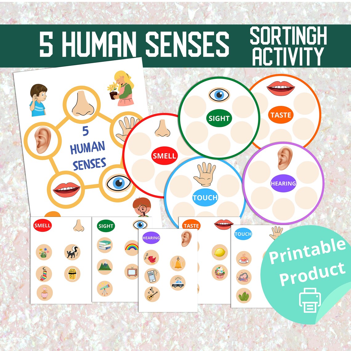 Five Senses, Sorting Activity, Printable Busy Learn, Toddler and ...