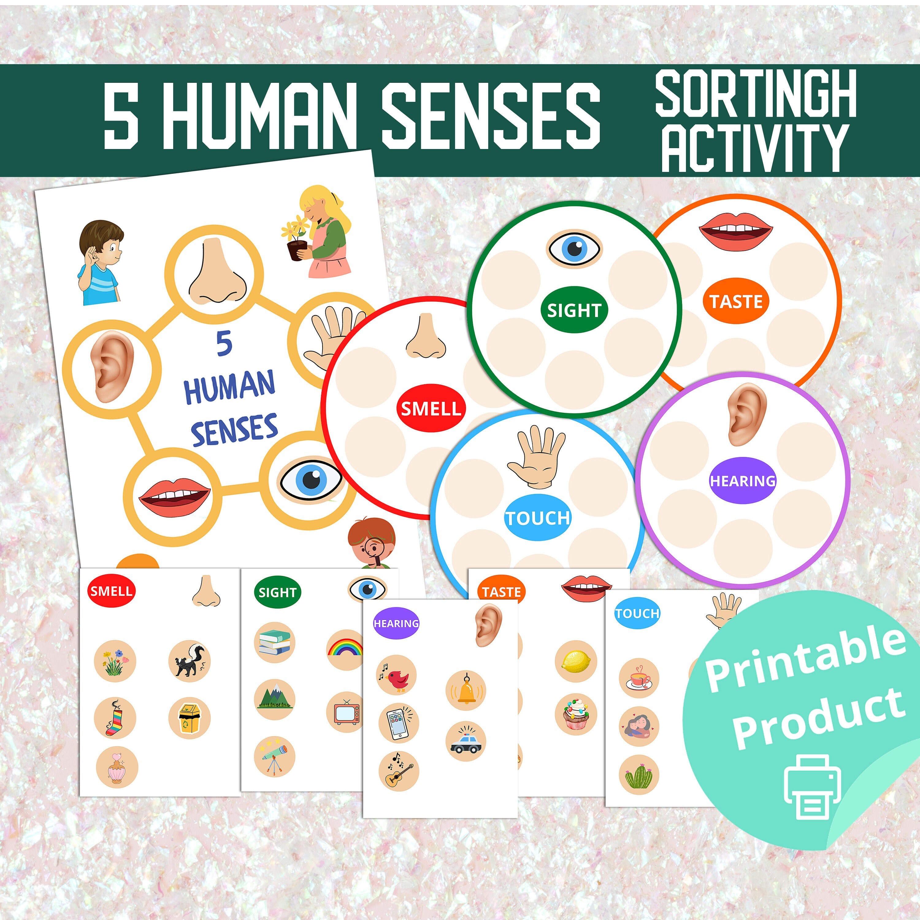Five Senses Printable, Toddler Busy Learn , Sorting Activity for ...