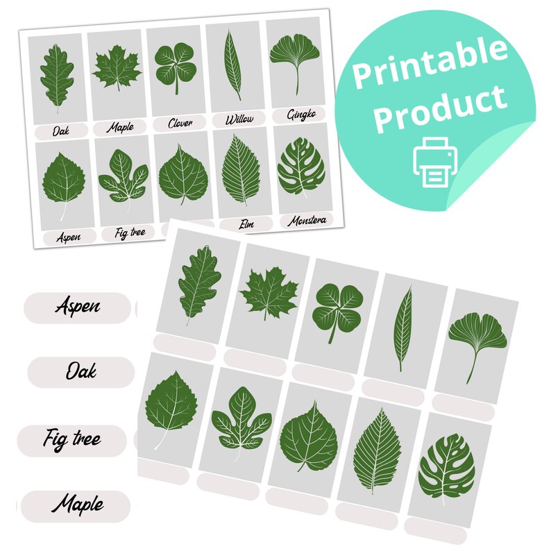 Leaf Identification Cards, Tree Leaf Identification, Nature Scavenger ...