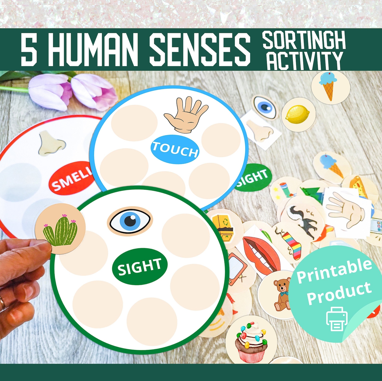 Five Senses Printable, Toddler Busy Learn , Sorting Activity for ...