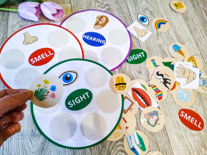 Five Senses Printable, Toddler Busy Learn , Sorting Activity for ...