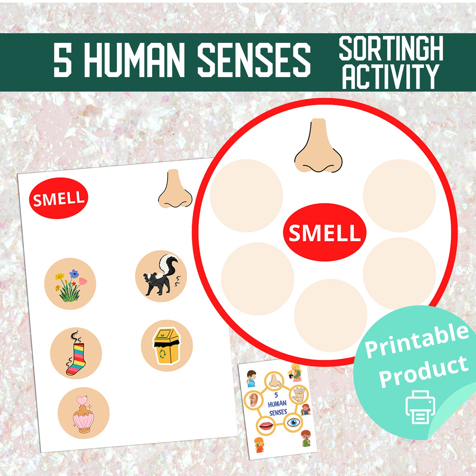 Five Senses, Sorting Activity, Printable Busy Learn, Toddler and ...