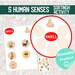 Five Senses Printable, Toddler Busy Learn , Sorting Activity for ...