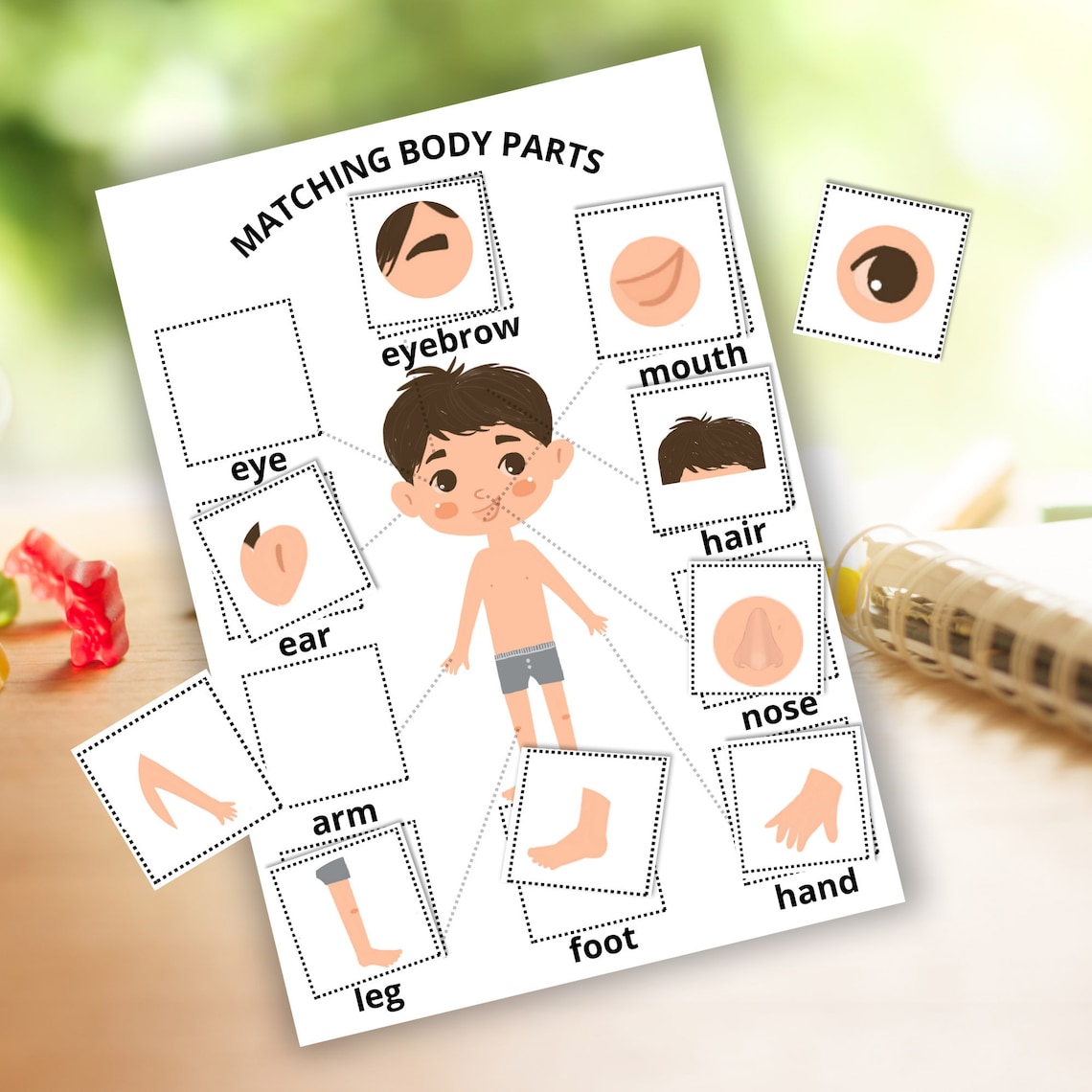 Body Parts Printable, Human Body Activity, Montessori Body Flash Cards ...