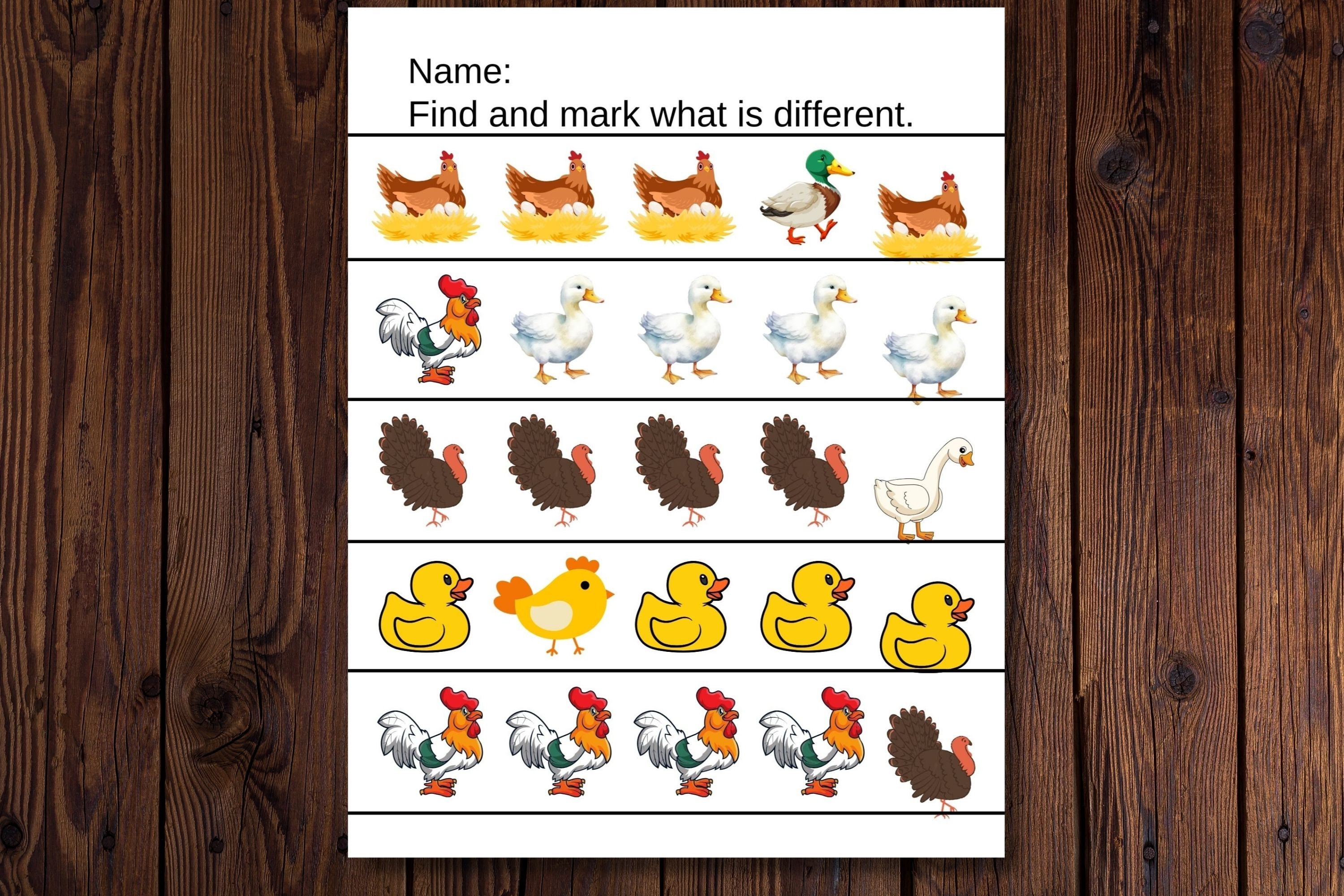 Printable Finding Different Object Worksheets,activity Pages for Kids ...