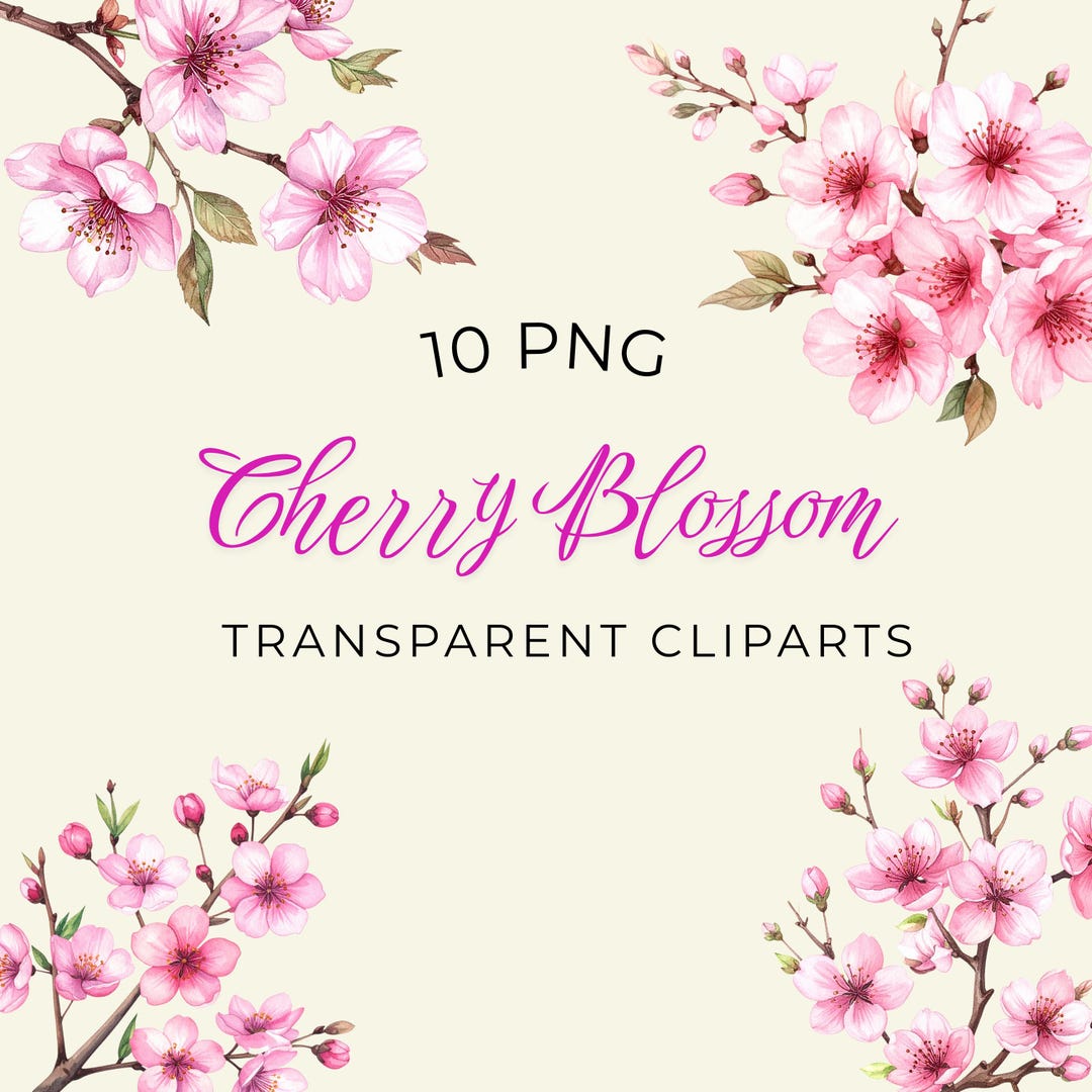 Watercolor Cherry Blossom Clipart Spring Sakura PNG Transparent ...