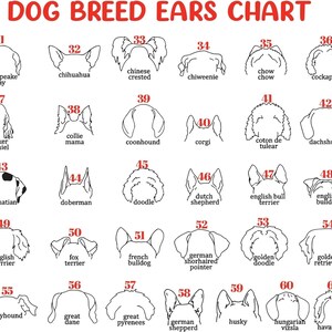 Personalized Dog Ear Sign, Memorial Pet Collar Sign, Dog Memorial Gift ...