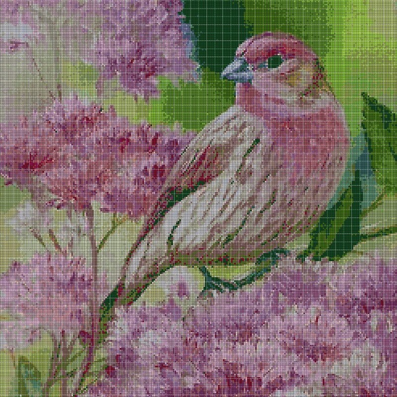 TomstitchPatterns - Etsy